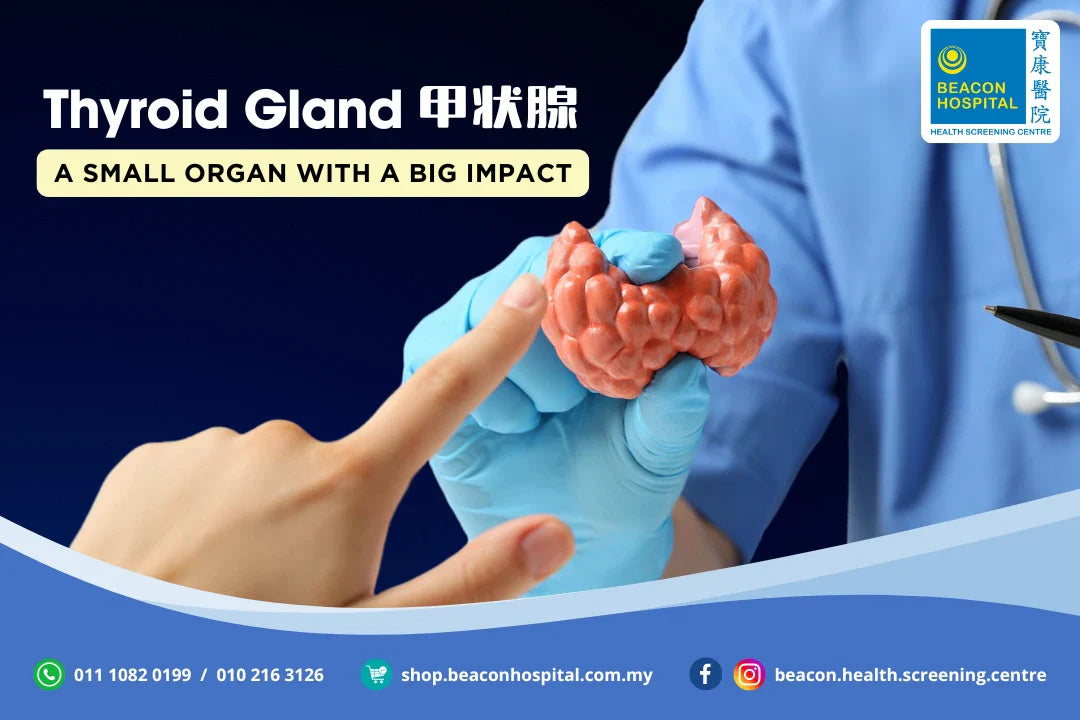 How the Thyroid Gland Keeps Your Body in Balance – Beacon Health ...